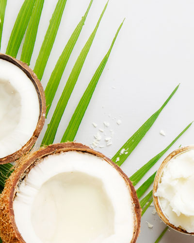 Econutrena - Organic Coconut Products Exporter + Spices, Fruits & Tea ...