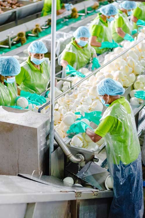 Econutrena - Organic Coconut Products Exporter + Spices, Fruits & Tea ...