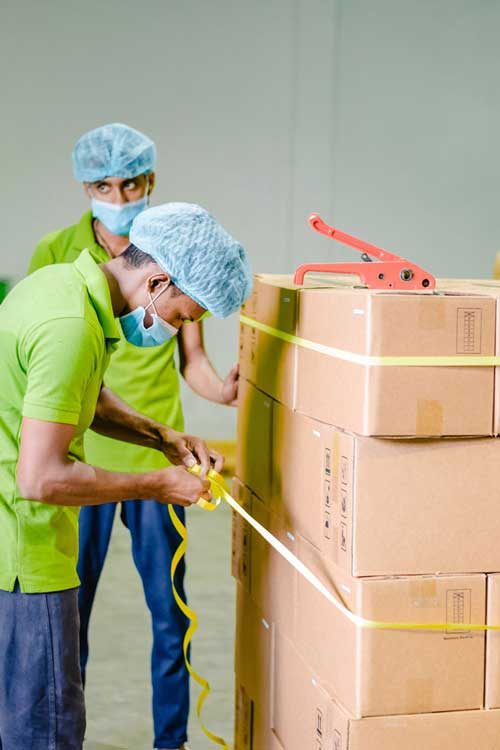 Econutrena - Organic Coconut Products Exporter + Spices, Fruits & Tea ...