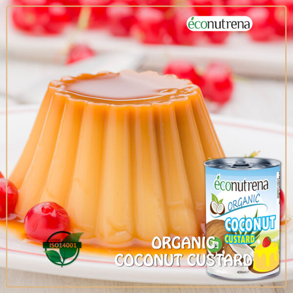 Coconut Based Products - Econutrena - Organic Coconut Products, Spices ...